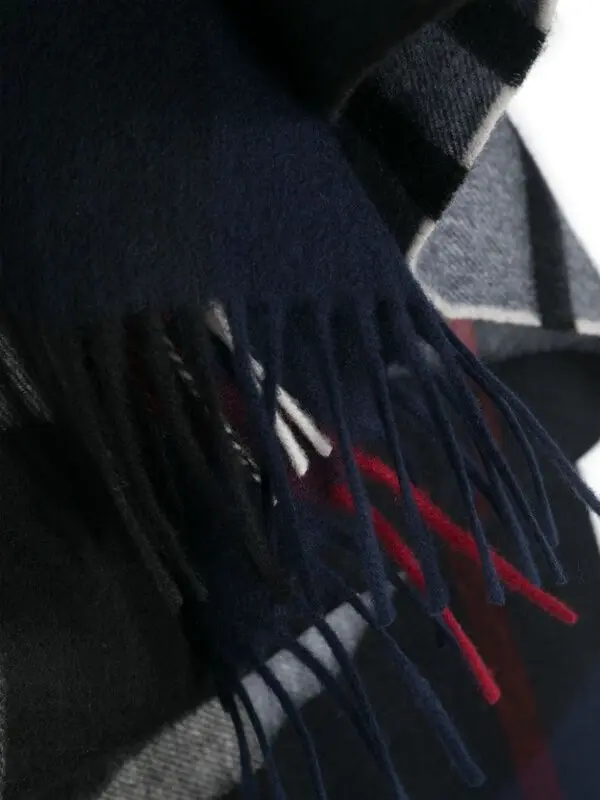 Mulberry Check-pattern Fringe-detailing Scarf