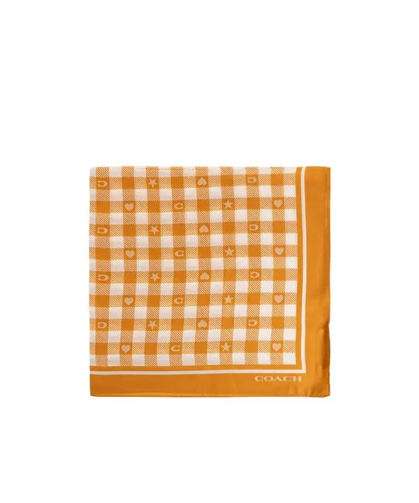 COACH Patterned Silk Scarf - Orange