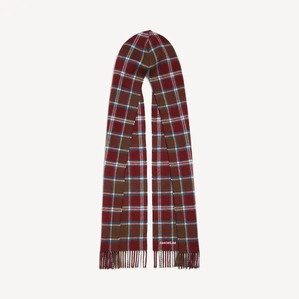 Balenciaga Checked Hooded Scarf