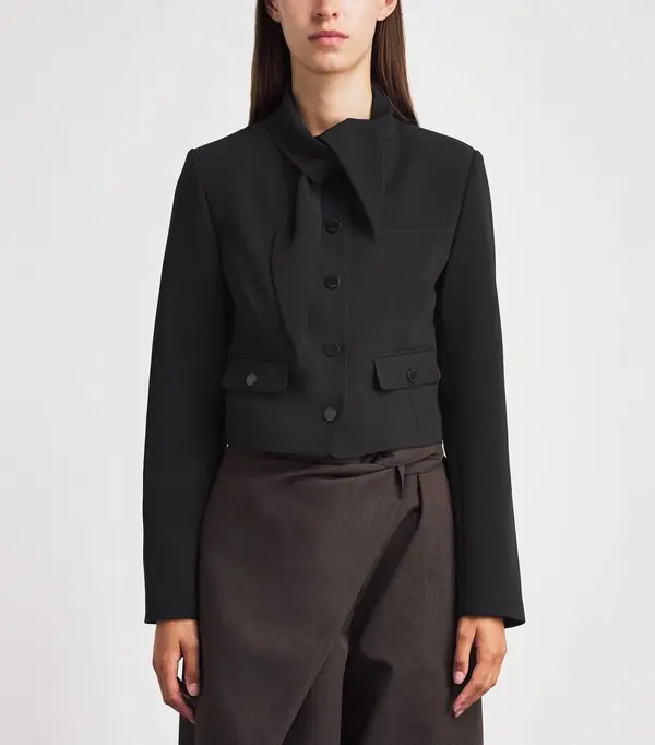 Claudie Pierlot Tie-scarf Jacket