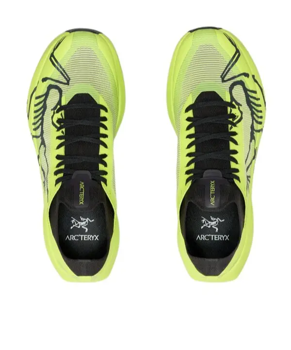 Arc'teryx Sylan 2 Shoe - Mantismantis