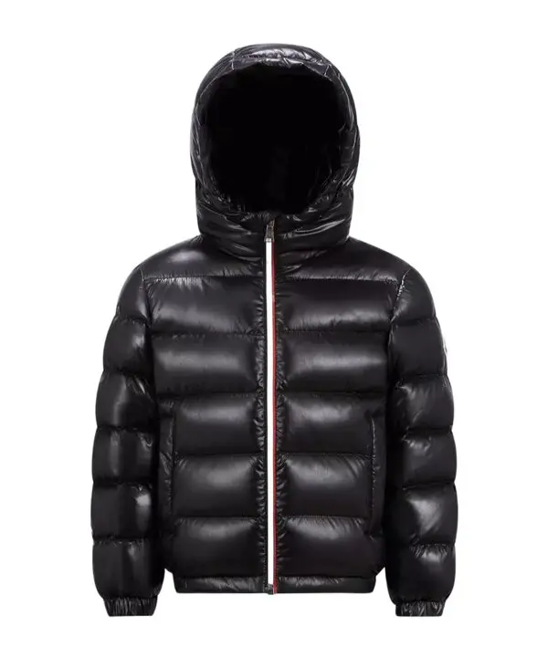 Moncler New Aubert Hooded Down Jacket