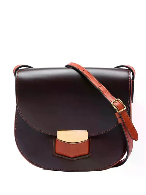 Celine Small Bicolor Glazed Calfskin Trotteur Cross Body Bag