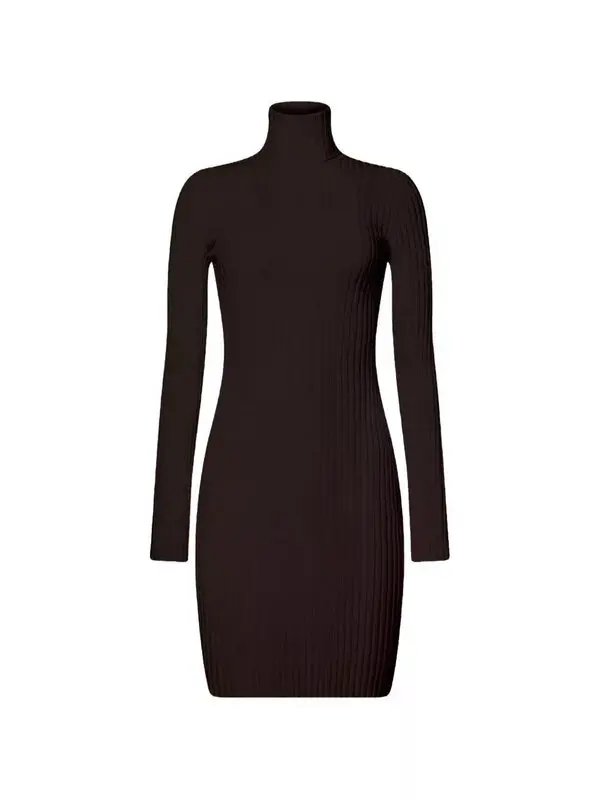Wolford Ribbed-knit High-neck Mini Dress - Brown