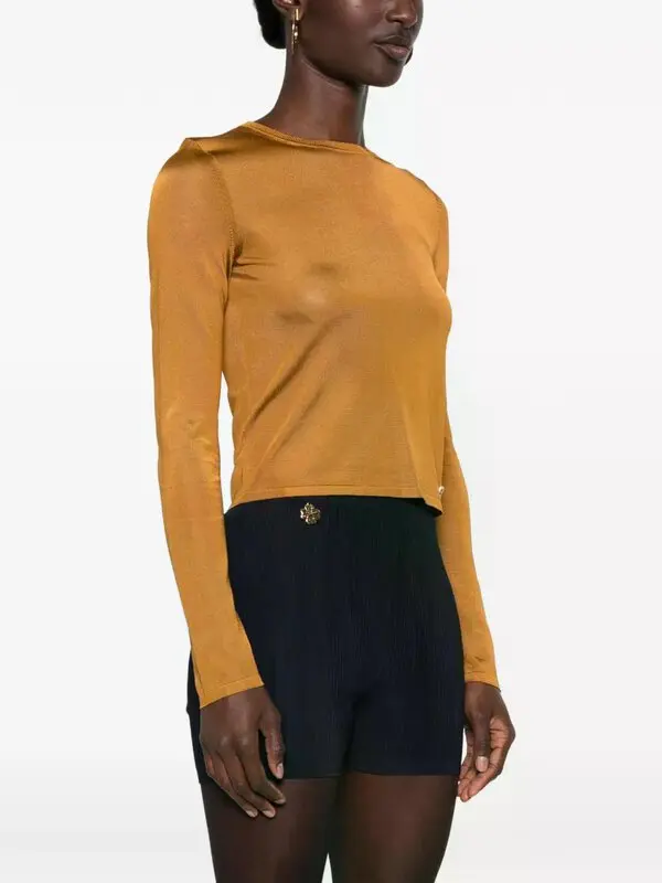 Saint Laurent Logo-plaque Long-sleeves T-shirt - Brown