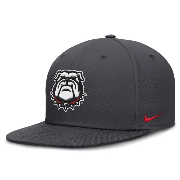 Nike Georgia Pro Dri-fit College Fitted Cap
