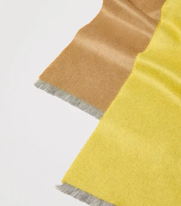 Max & Co. Reversible Colour Block Scarf