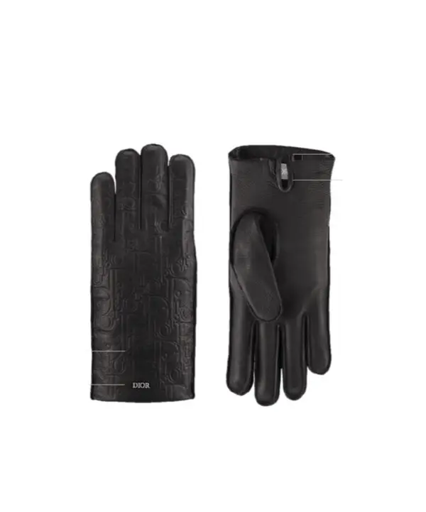 Dior Logo Gloves