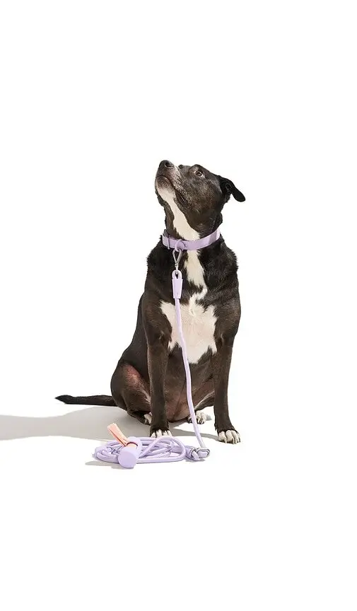WILD ONE Rope Leash In Lavender - Lilac