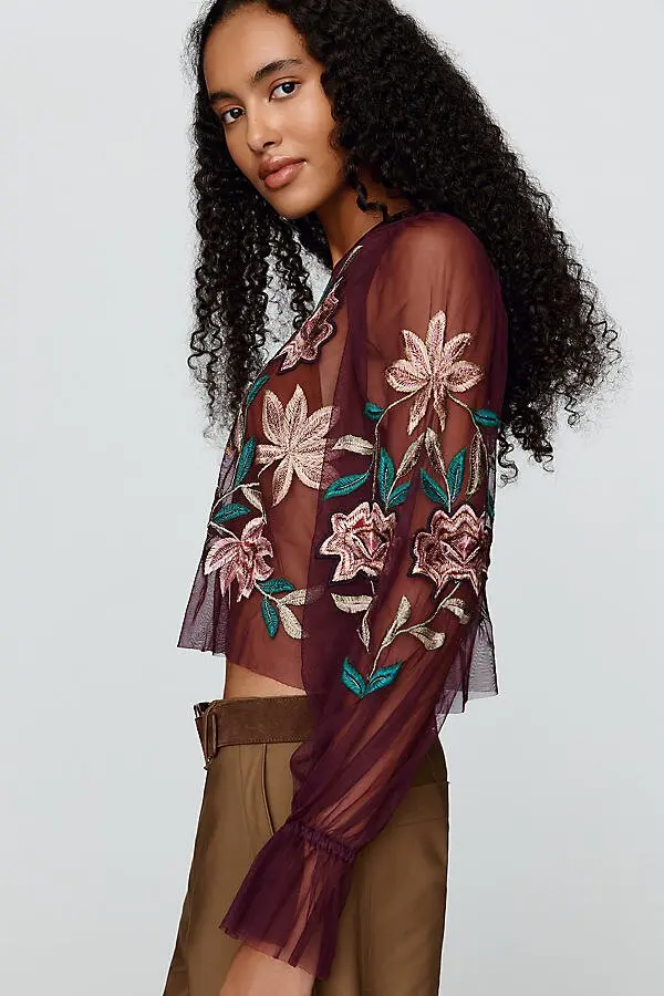 Anthropologie Embroidered Mesh Blouse