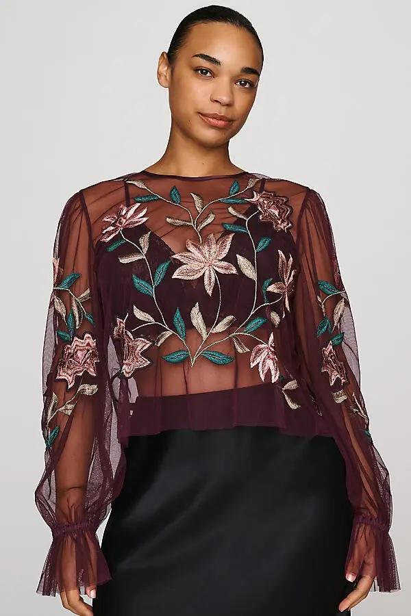 Anthropologie Embroidered Mesh Blouse