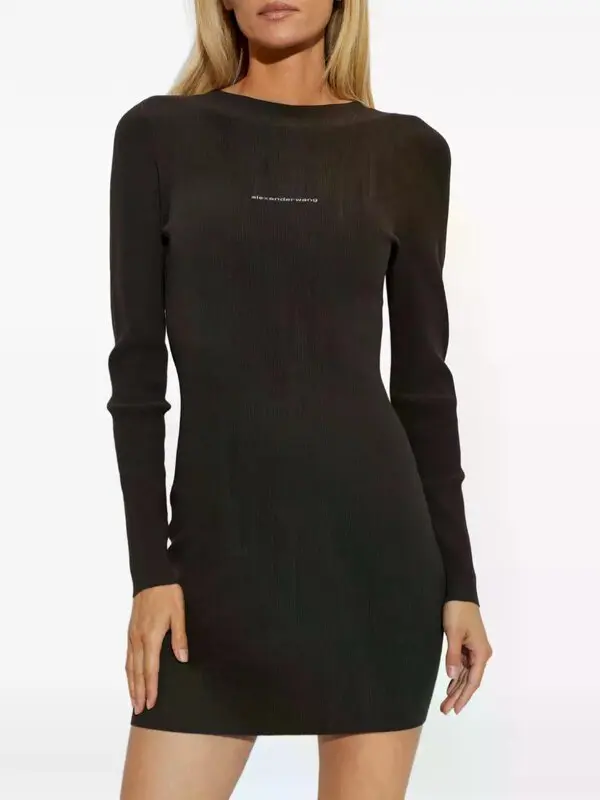 Alexander Wang Textured Logo Long-sleeve Crewneck Dress