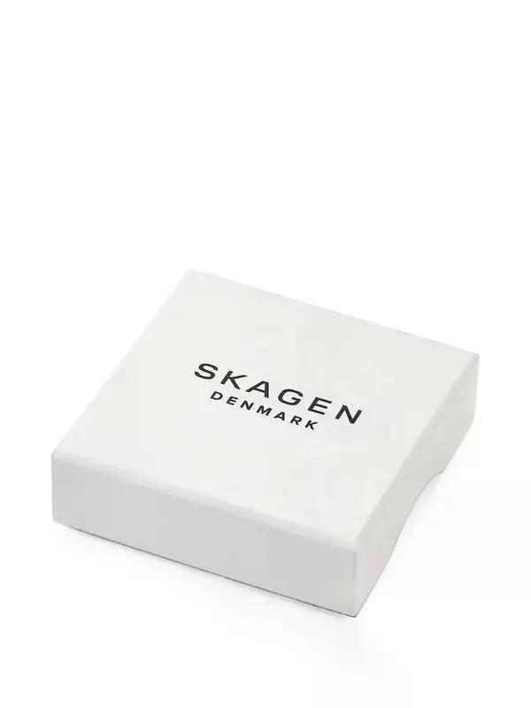Skagen Geometric Drop Earrings