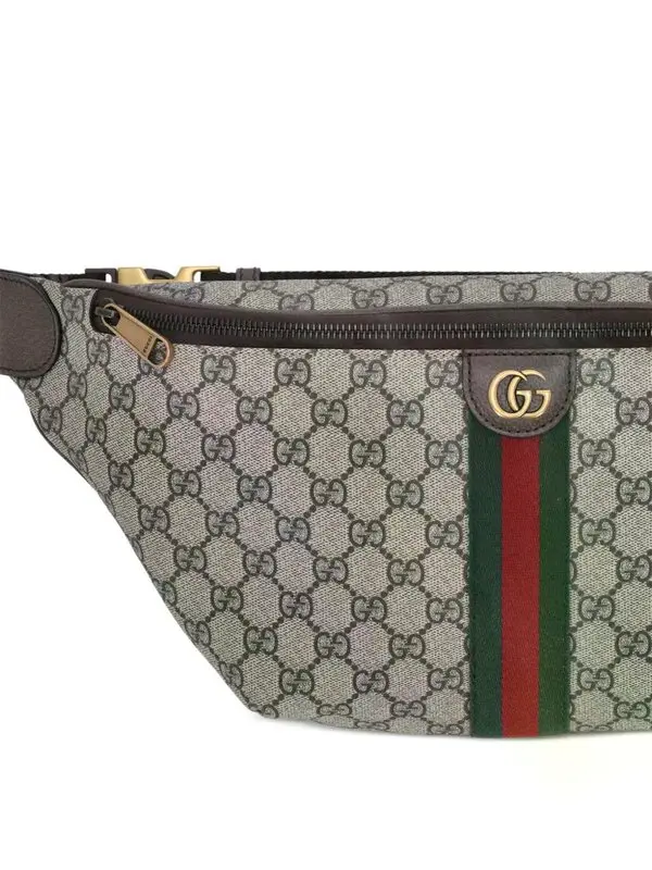 Gucci Ophidia Small Belt Bag