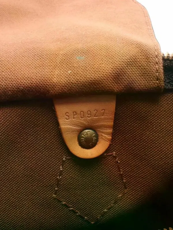LOUIS VUITTON Monogram Canvas Speedy Tote Bag