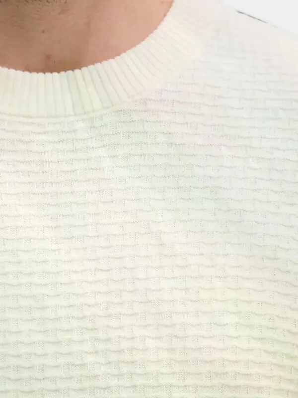 Sisley Waffle-knit Crew-neck Sweater