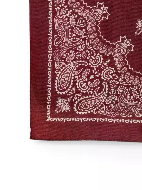 Destin Paisley-print Wool Scarf