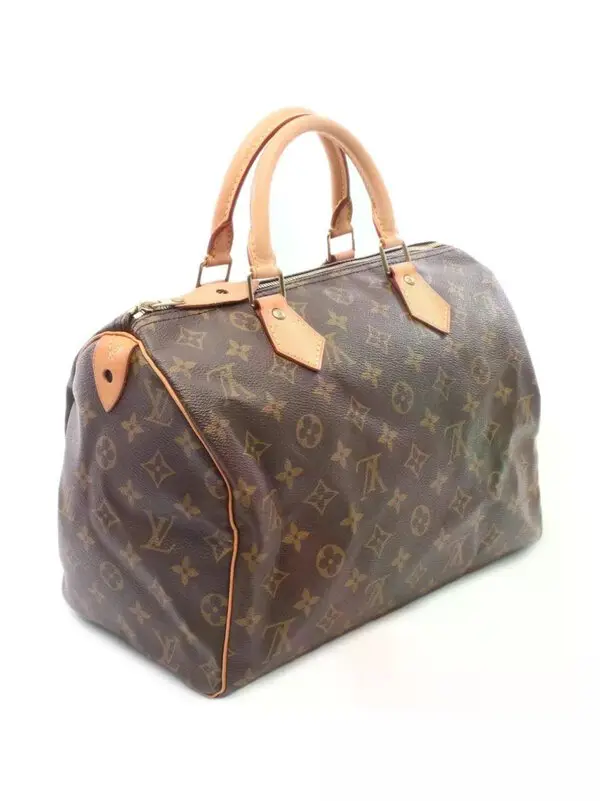 LOUIS VUITTON Monogram Canvas Speedy Tote Bag