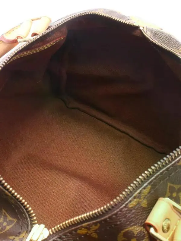 LOUIS VUITTON Monogram Canvas Speedy Tote Bag