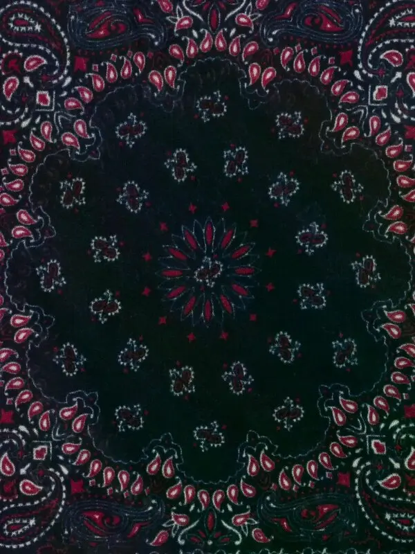 SGOMBERO CANTINE Paisley-print Wool Scarf - Blue