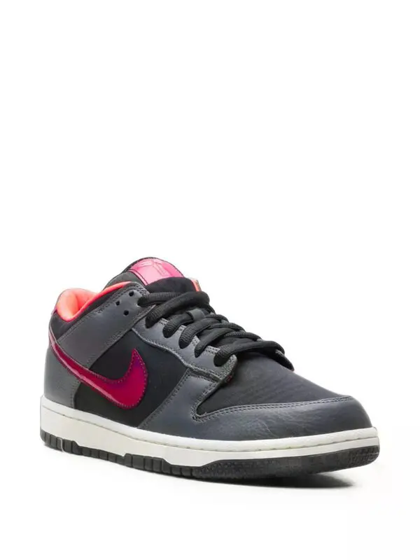 Nike Dunk Low Protro Sneakers