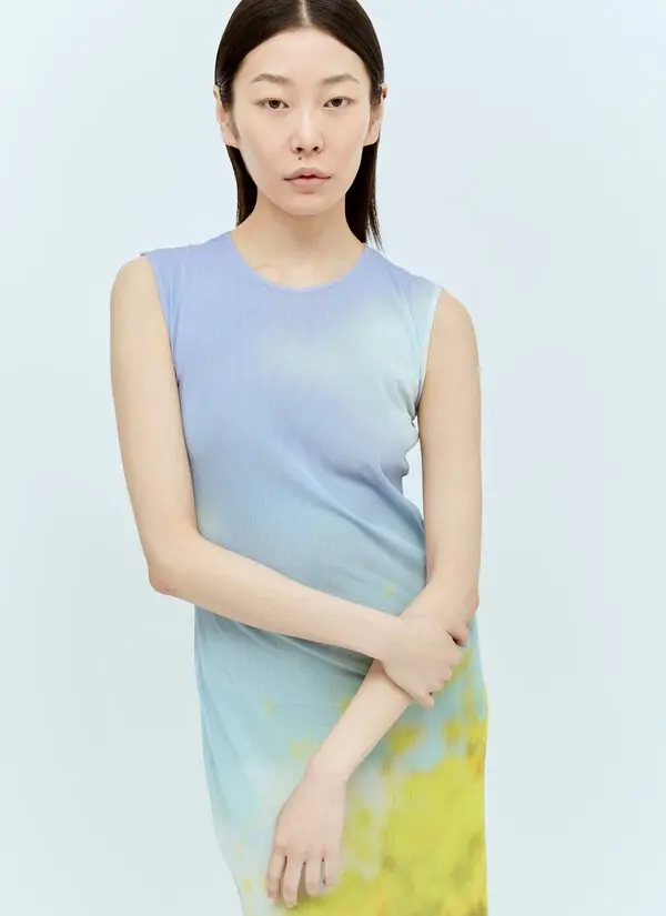 Acne Studios Blurred Print Maxi Dress