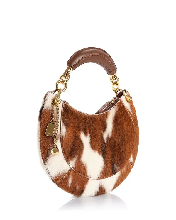 Chloé Banana Small Calf Hobo Bag