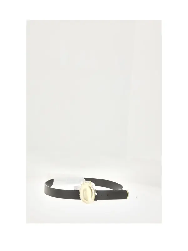 Dior Homme Medallion Belt - Multicolor