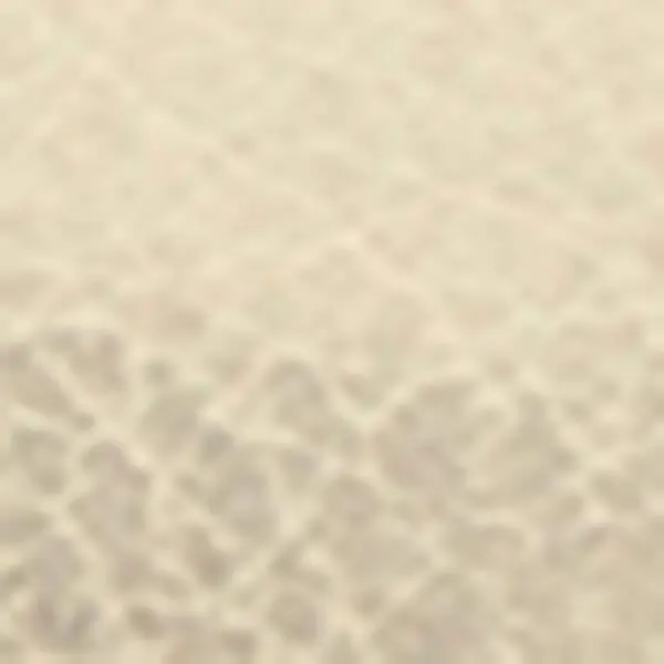 GOLDEN GOOSE Leopard-print Super-star Sabot Sneakers