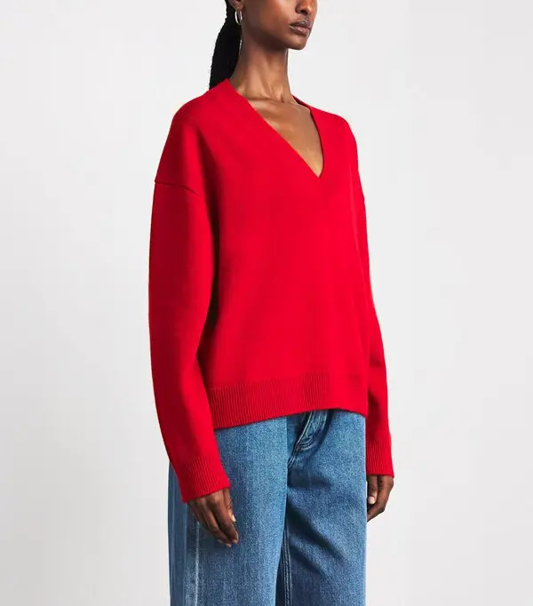 ANINE BING Cashmere V-neck Lee Sweater