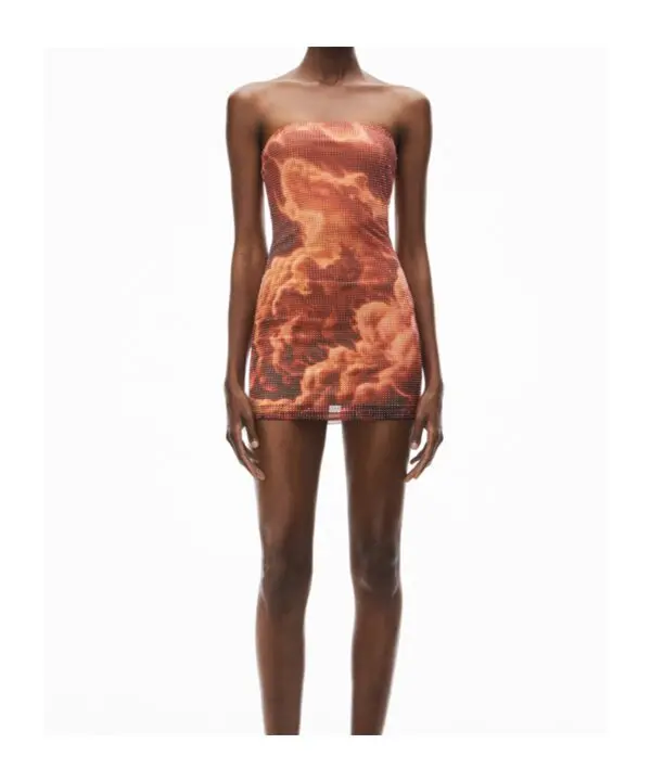 Alexander Wang Embellished Mini Dress