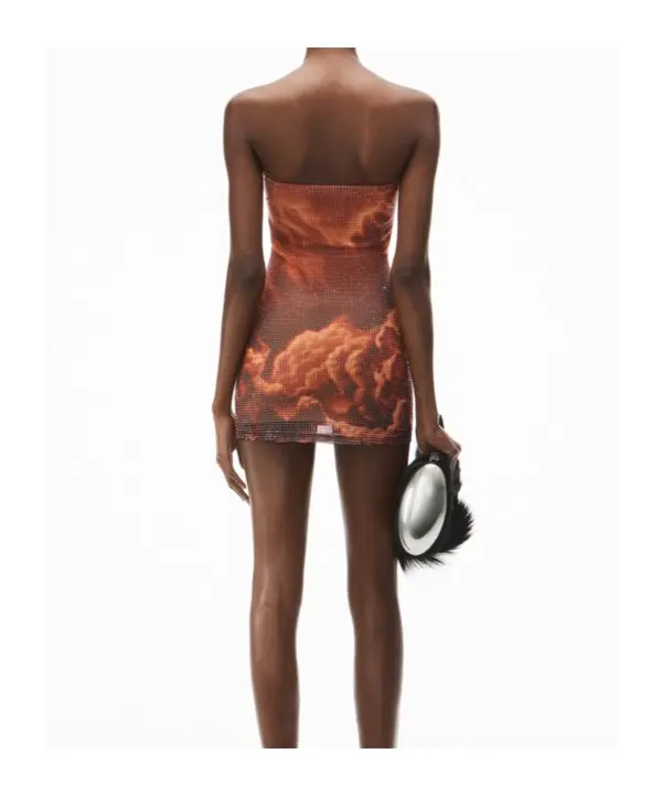 Alexander Wang Embellished Mini Dress