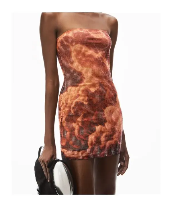 Alexander Wang Embellished Mini Dress
