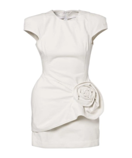 Magda Butrym Floral-appliqué Denim Minidress
