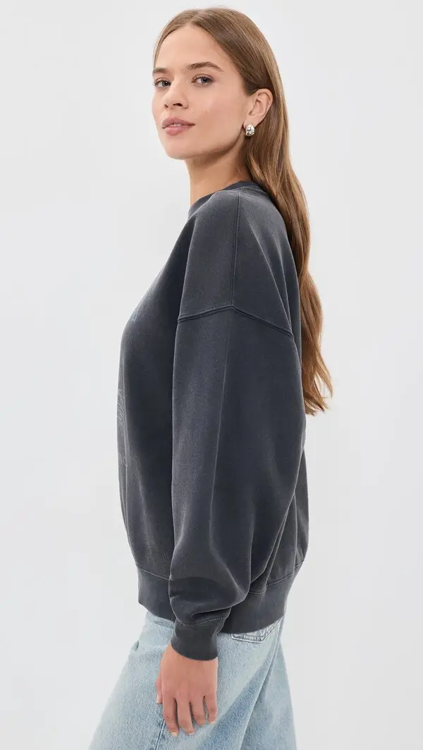 ANINE BING Miles Leopard Muse Sweatshirt