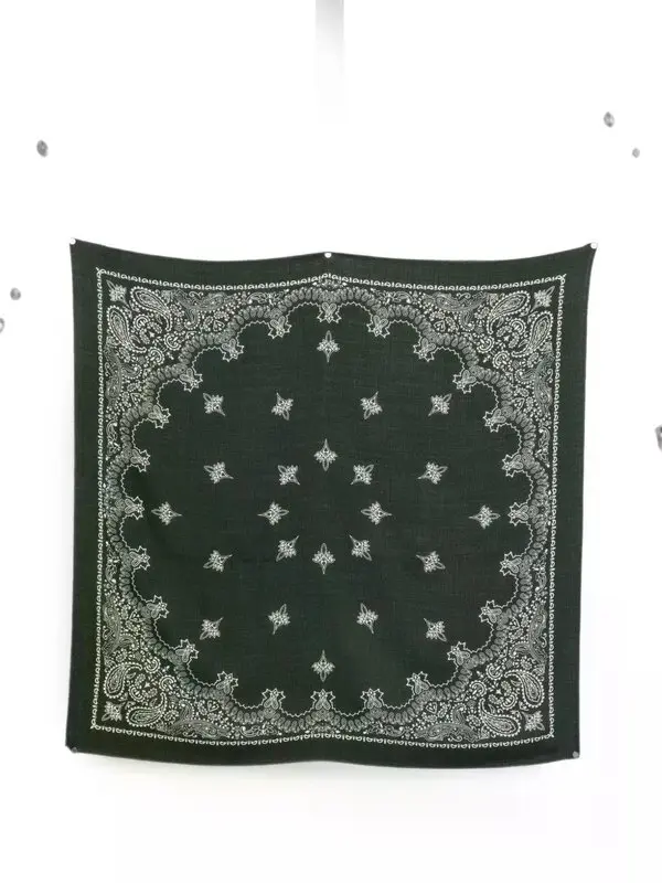 Destin Paisley-print Wool Scarf