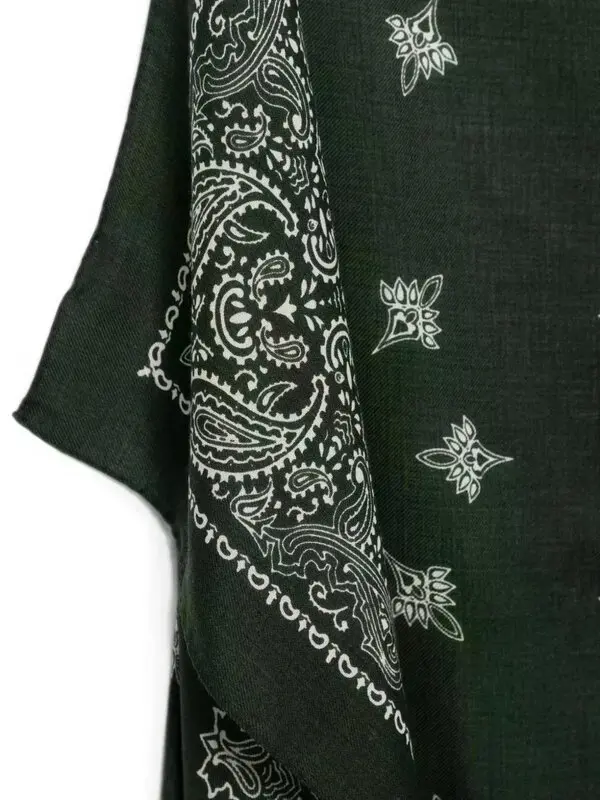 Destin Paisley-print Wool Scarf