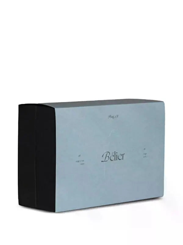 OLFACTIF Aires Woody Candle