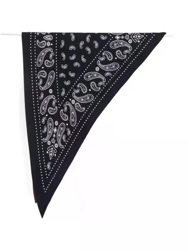 Destin Paisley-print Wool Scarf