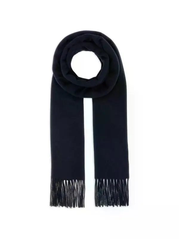 Max Mara Dalia Cashmere Scarf - Blue