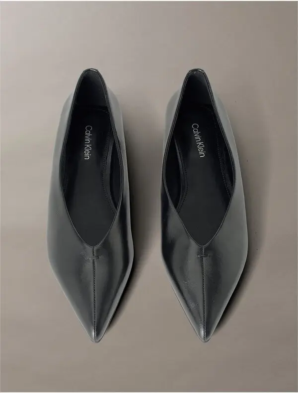 Calvin Klein Gemeen Pointed Flats