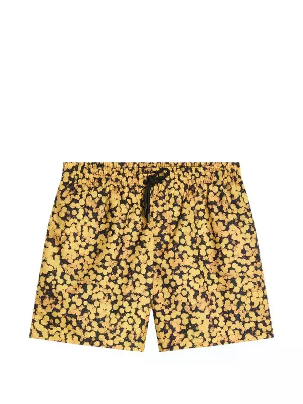 Dries Van Noten Printed Swim Shorts