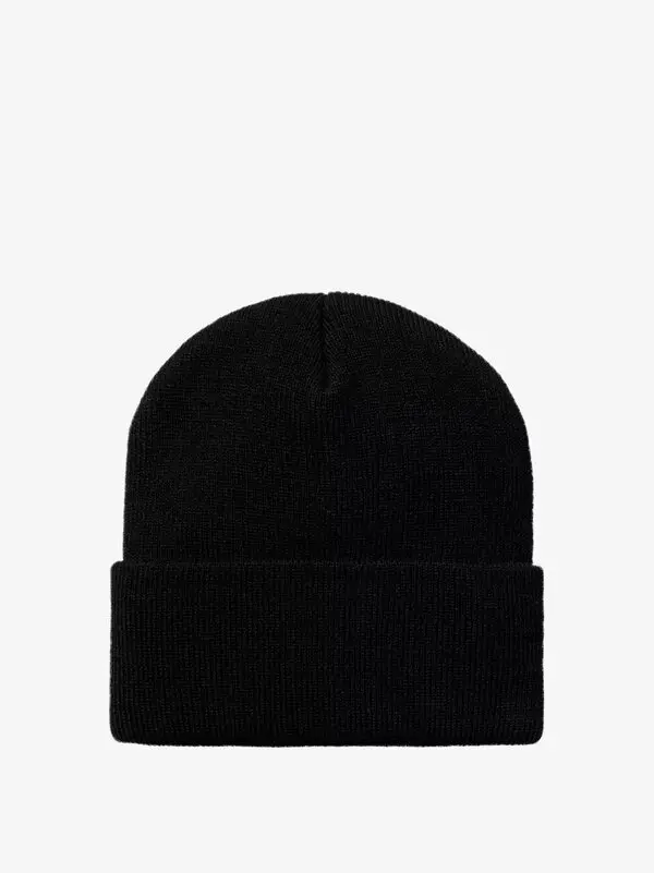 Carhartt Work In Progress Ashley Beanie With Front Logo
