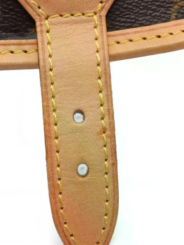 LOUIS VUITTON Sologne Monogram Canvas Shoulder Bag