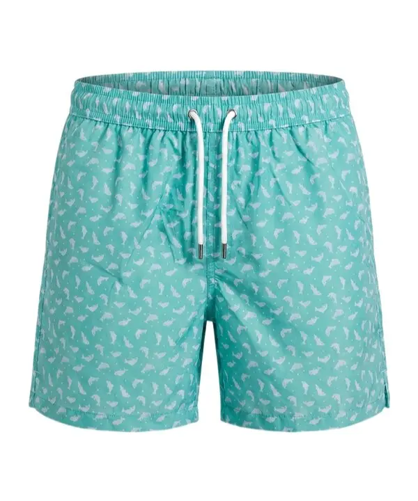 Fedeli Printed Swim Trunks