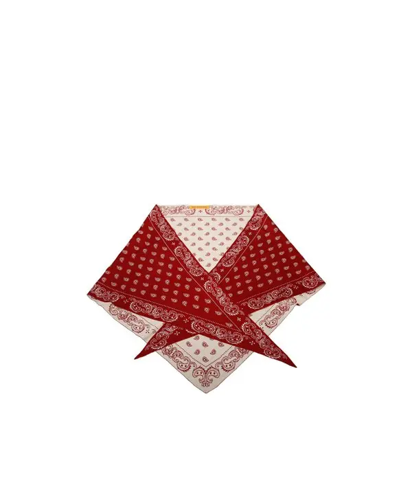 Guest In Residence The Wild Rag Foulard