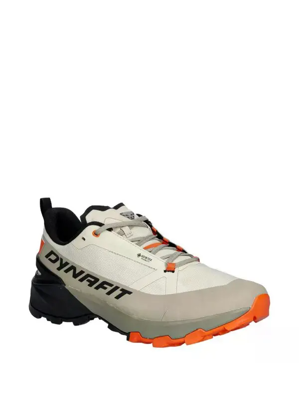 DYNAFIT Transalper 2 Gtx Panelled Sneakers