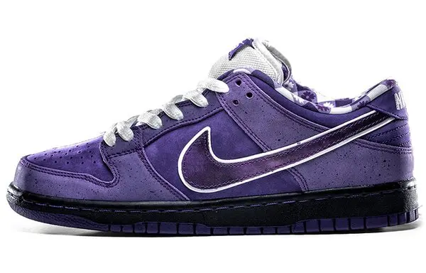 Nike X Concepts Sb Dunk Low