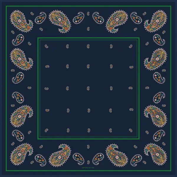 JESSIE ZHAO NEW YORK Paisley Nocturne Double Sided Silk Scarf - Blue