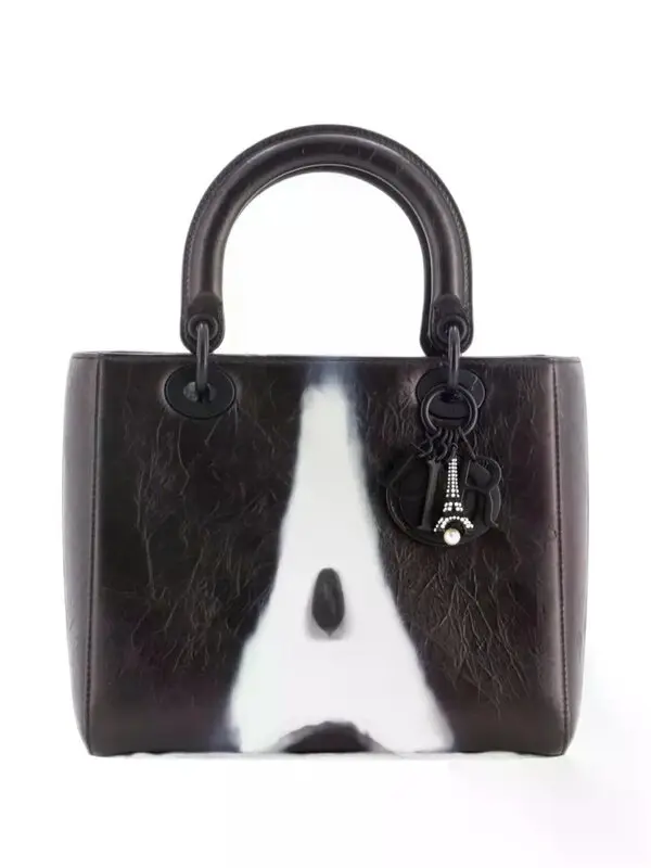 Dior Limited Edition Eiffel Tower Printed Leather Medium Tote Bag